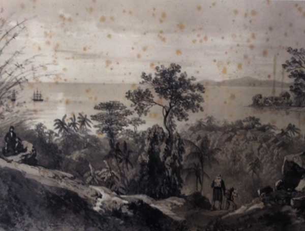 How do I get rid of foxing?