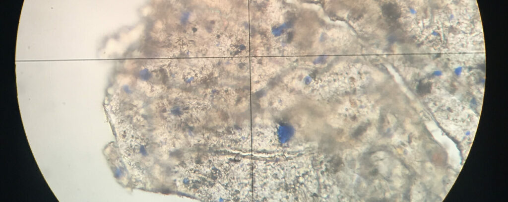 Professional Painting Assessment: Pigment Analysis