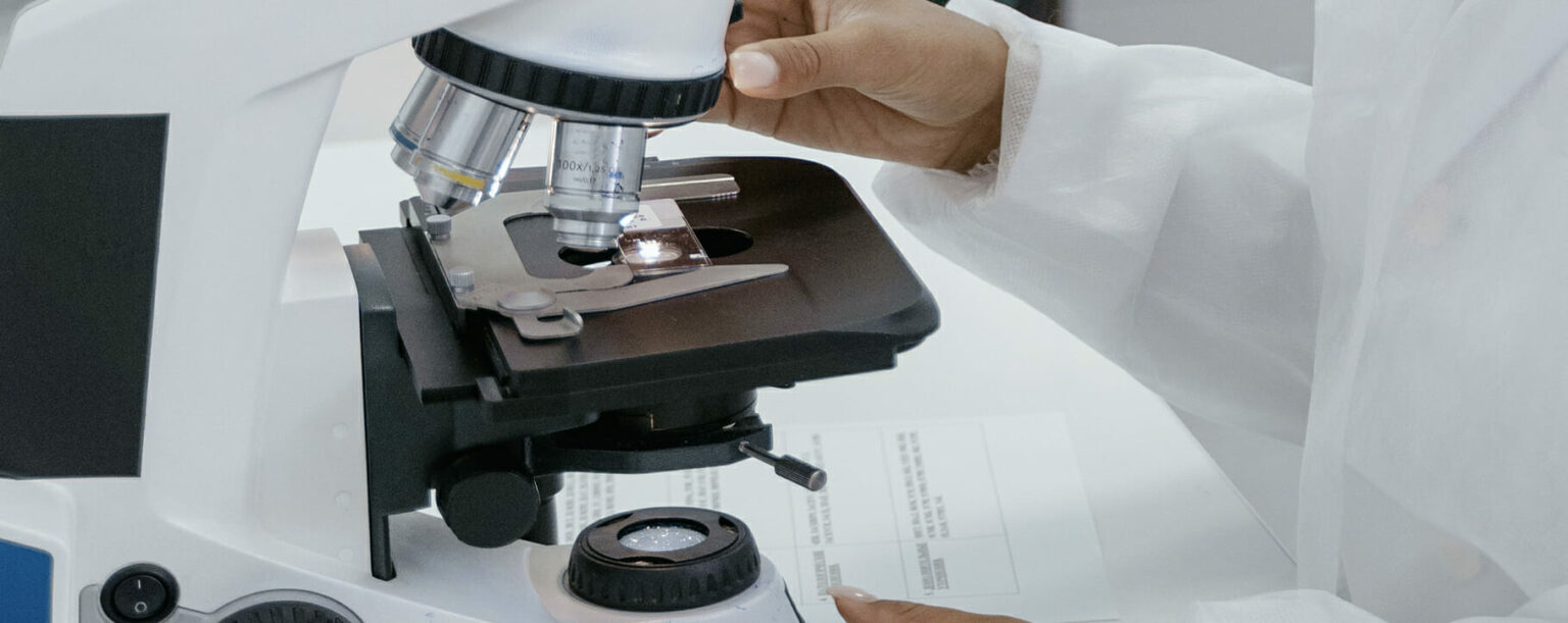 Professional Painting Assessment: Pigment Analysis