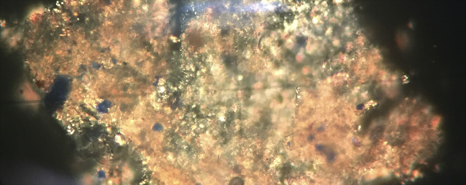 Professional Painting Assessment: Pigment Analysis