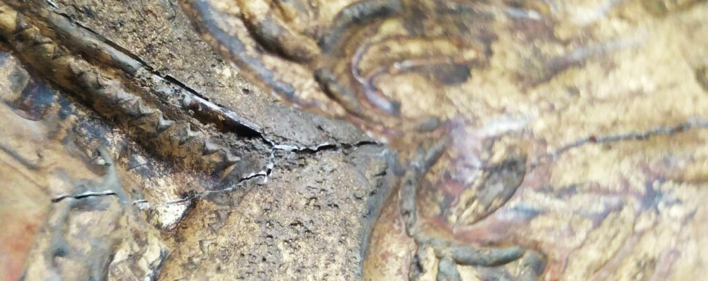 Caring for Decorative Gilded Frames | Fine Art Restoration Company