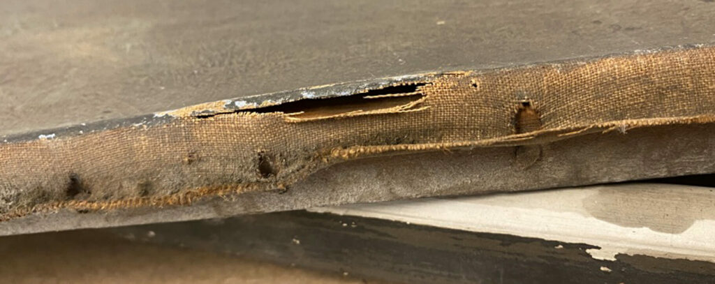 Professional Painting Assessment: Cross Section Analysis