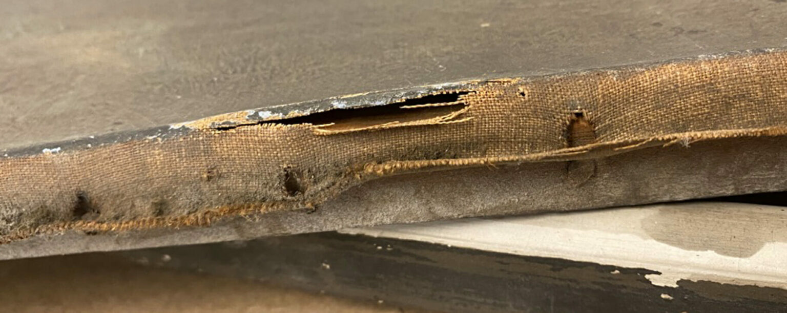 Professional Painting Assessment: Cross Section Analysis