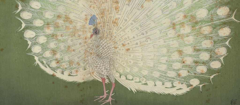 Shin-hanga: Japanese print history, restoration and framing