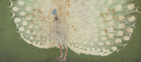 Paper in peril: restoring water damage