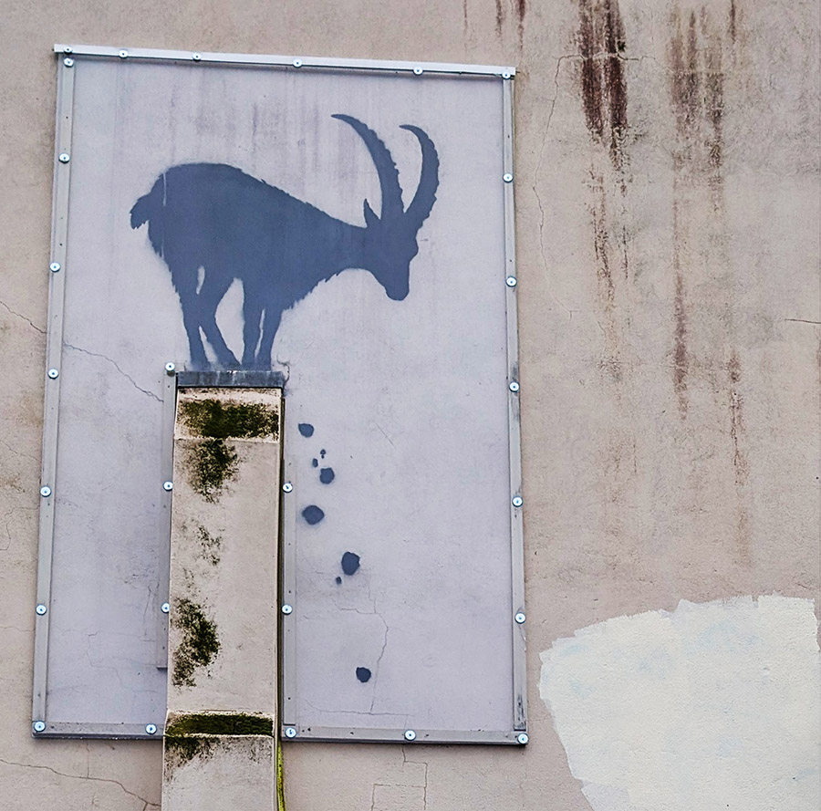 Banksy goat rescue: removing and restoring street art at Kew Bridge