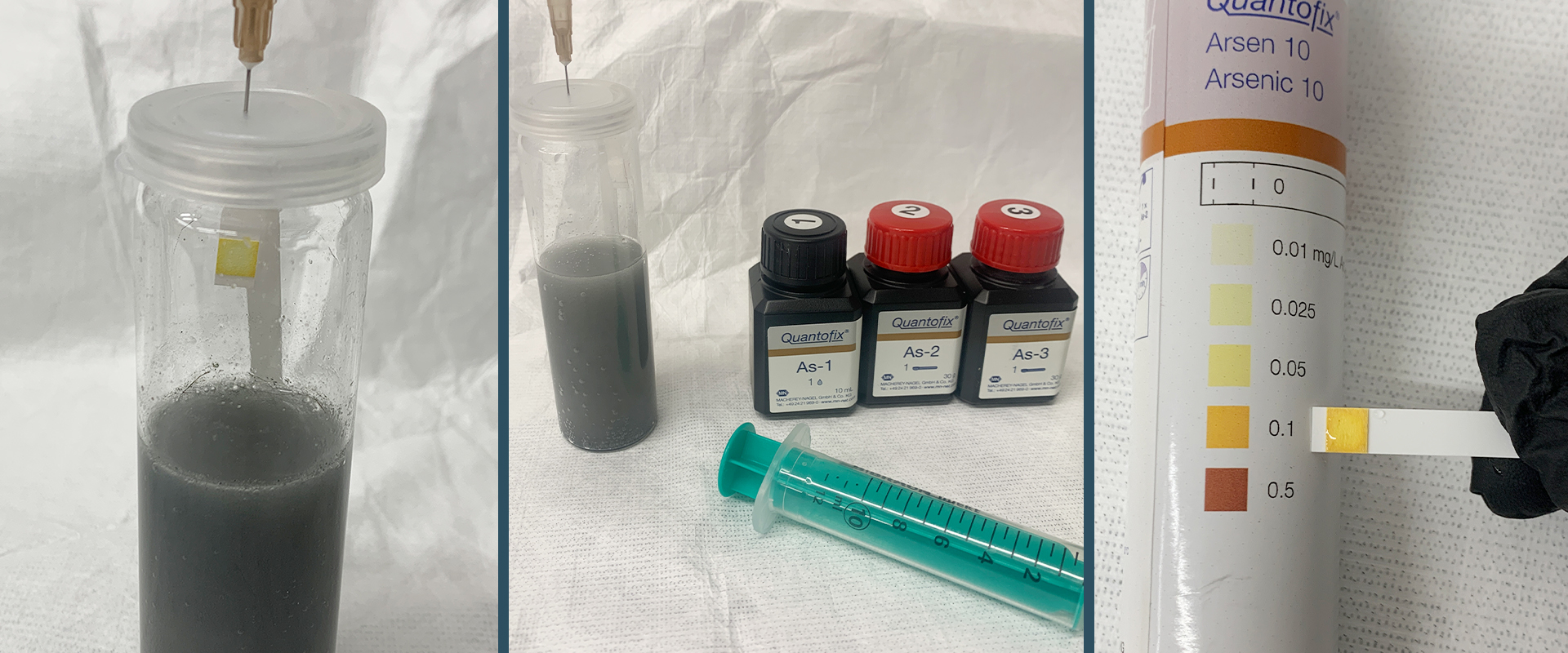 Arsenic Animals: Is My Taxidermy Toxic?